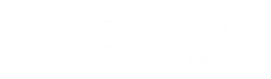 Copec Wind Venture | Capital Ventures Latin America & USA – Wind Ventures